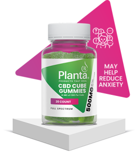 500mg CBD Cube Gummies – Planta Rx®